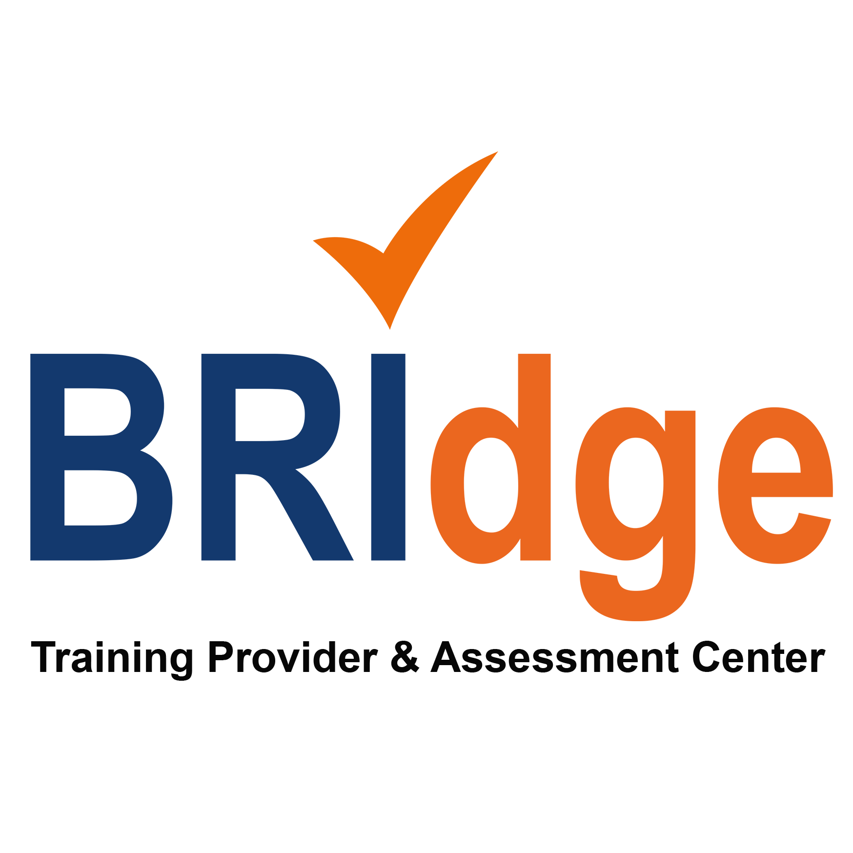 Bridge Digital Assessment
